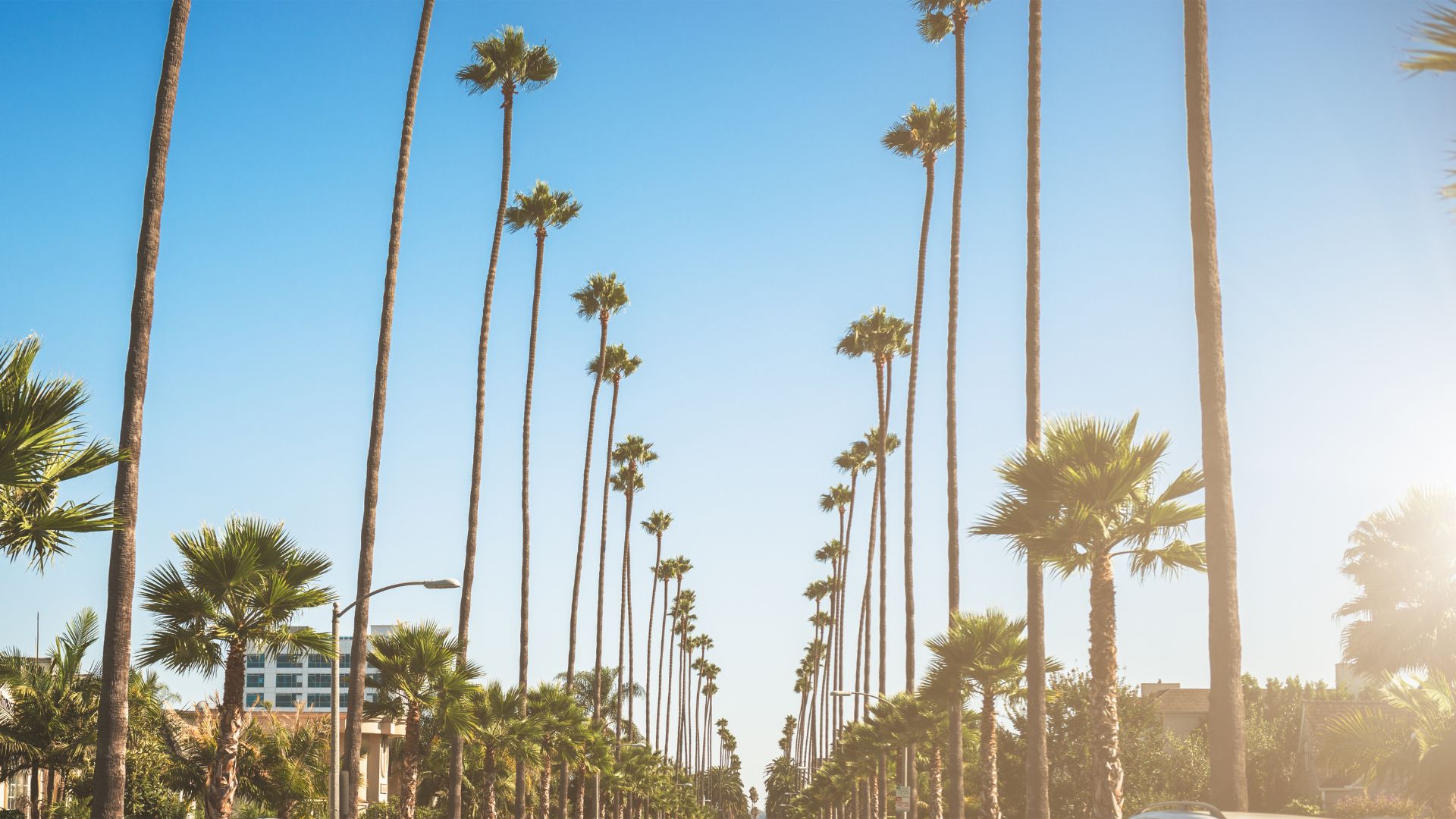 Aging Out of Foster Care in Los Angeles - Hilton Foundation Aging Out of Foster Care in Los Angeles - Hilton Foundation